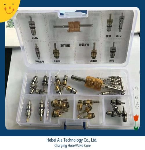 Valve Cores Box 8 Types supplier - Auto A/C Parts Manufacturers And ...